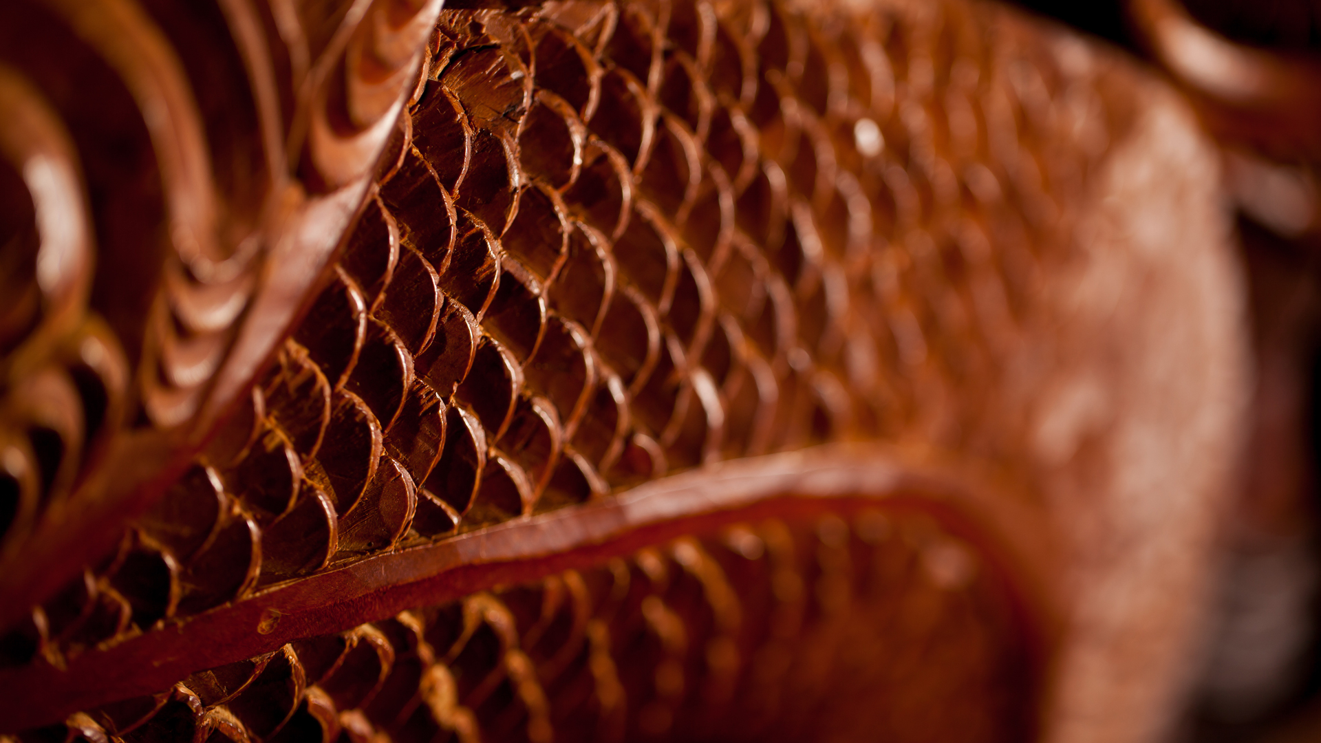 Fees & Charges - Te Rau Matatau